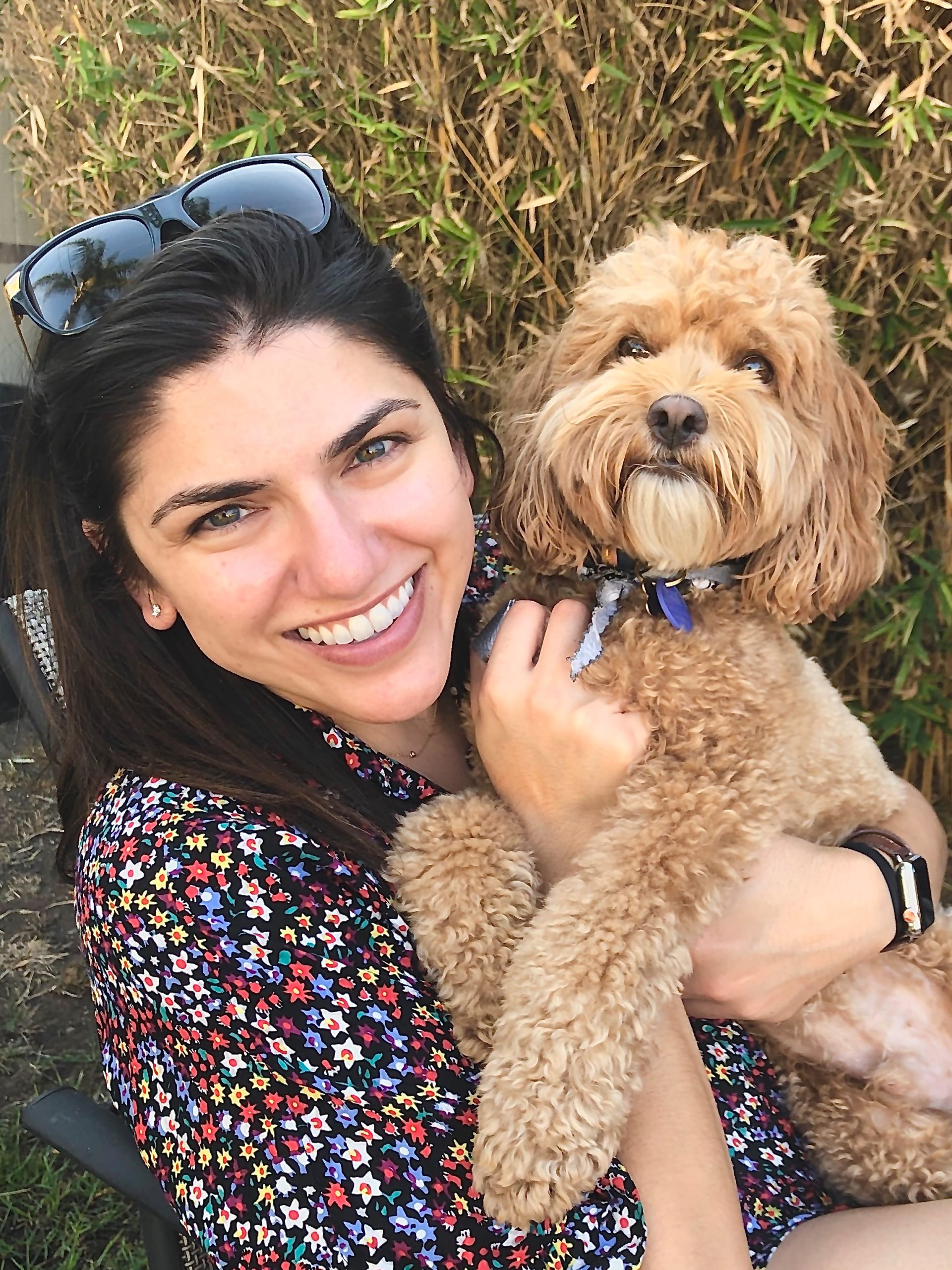 Meet the Team: Sadaf Nejat - Walsworth LLP